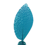 Πύλη Οικογενειακής Πολιτικής